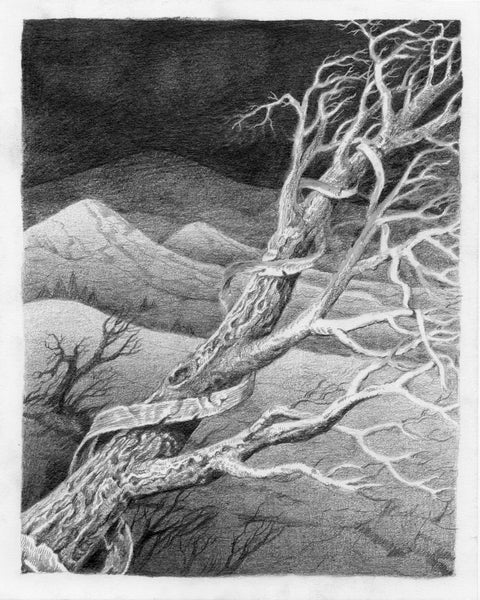 Pantomime Tree Sketch ~ OG – Welker Studios | Store