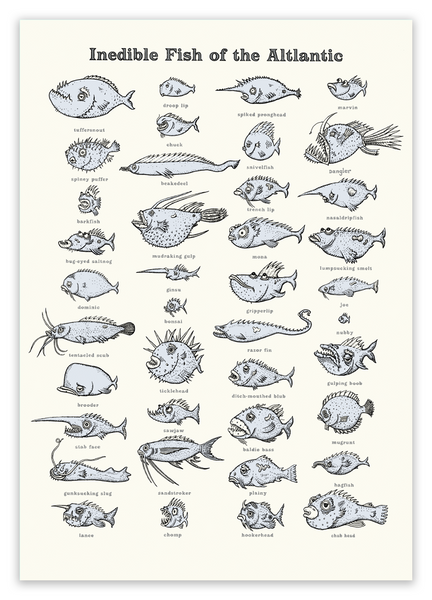 Inedible Fish of the Altlantic – Welker Studios | Store